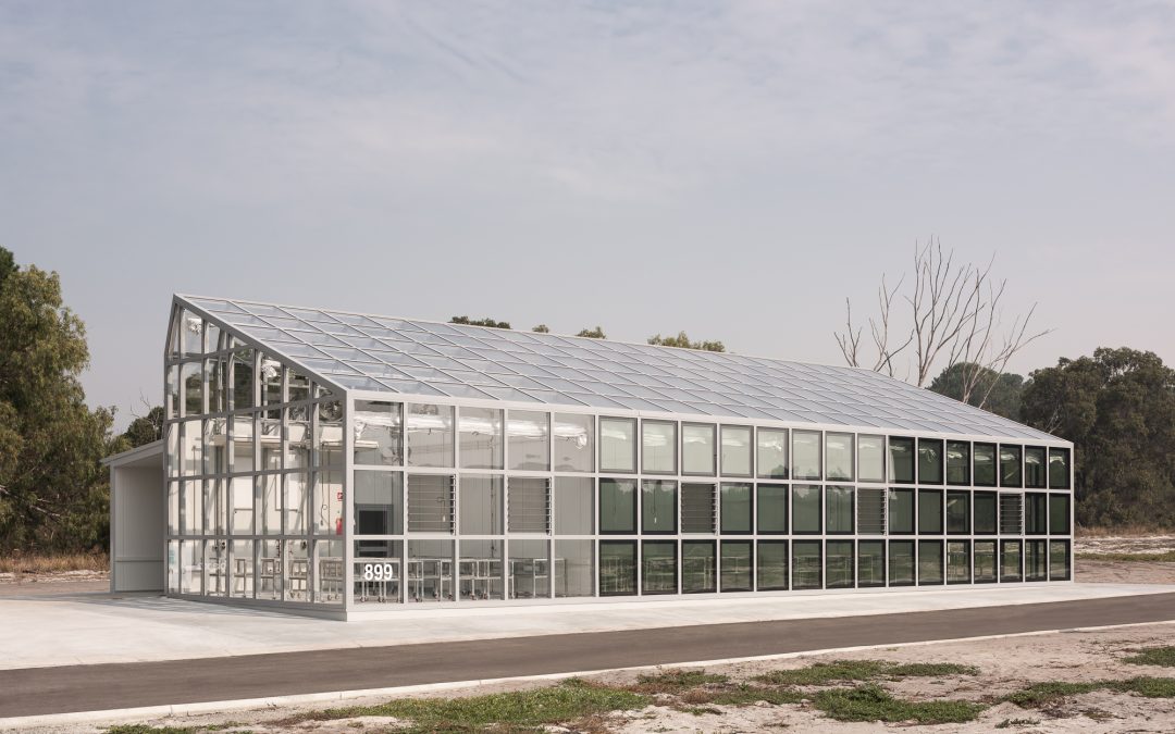 Projects 2 - blanc. Homes